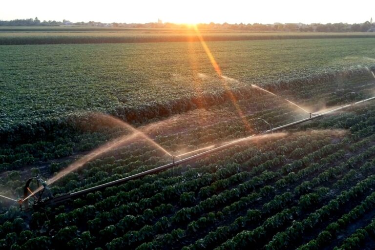 Solar Elevation Angle – Calculating Altitude of Sun - E8.org